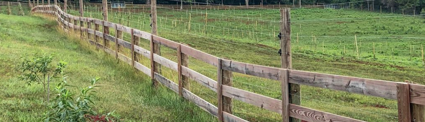 Stagebridge Farm – website